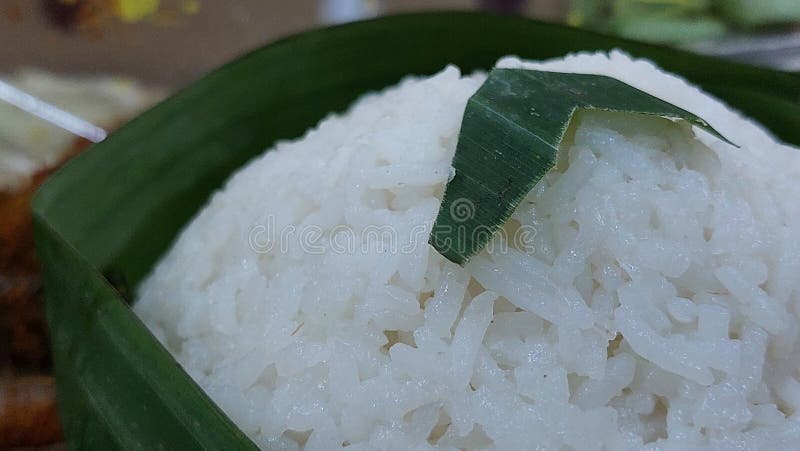 Javanese pandan rice stock image. Image of food, cuisine - 264373083