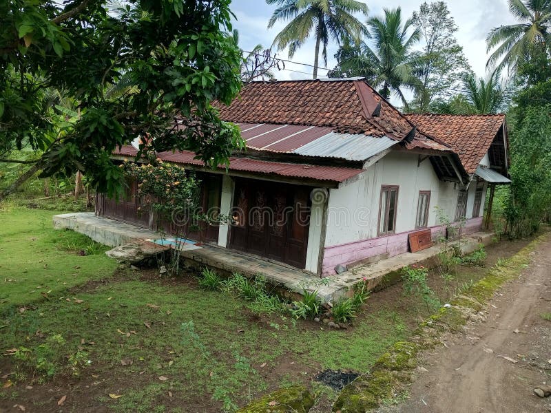 Javanese Traditional Joglo House Pavilion Stock Image - Image of joglo ...