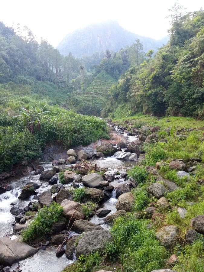JavaRiver mountain green stock image. Image of mountain - 290360845