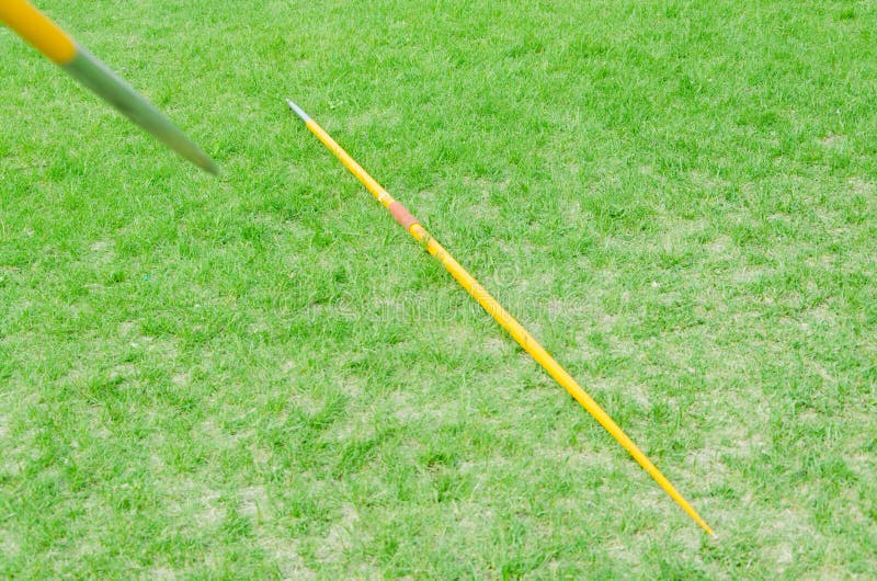 Javelots photo stock. Image du cible, gibier, herbe, distance - 39039970