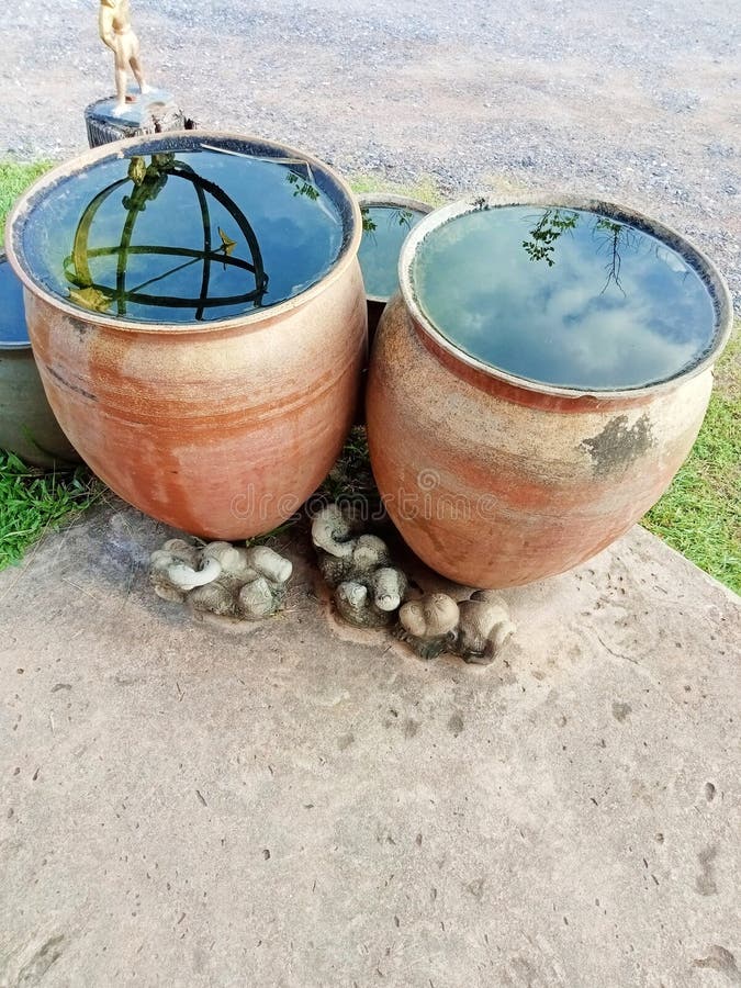 Javre photo stock. Image du vert, herbe, earth, roche - 282663110