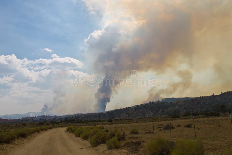 Jawbone Complex Fire Stock Photos - Free & Royalty-Free Stock Photos ...