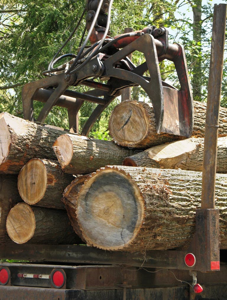 1,156 Crane Lifting Tree Stock Photos - Free & Royalty-Free Stock ...