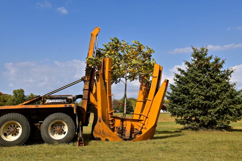Tree Being Transplanting Moving Machine Stock Photos - Free & Royalty ...