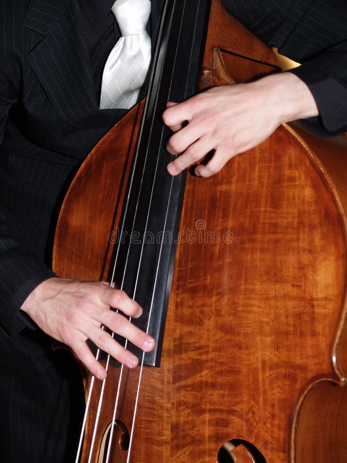 Jazz bass stock image. Image of music, pluck, classic - 5437017