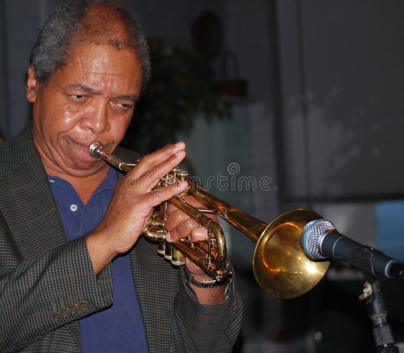 Jazz trumpet player. stock photo. Image of professional - 17274672
