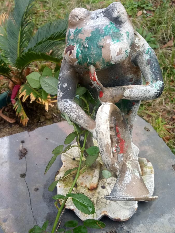 Jazzy Toad music stock photo. Image of garden, sunbathing - 167522360