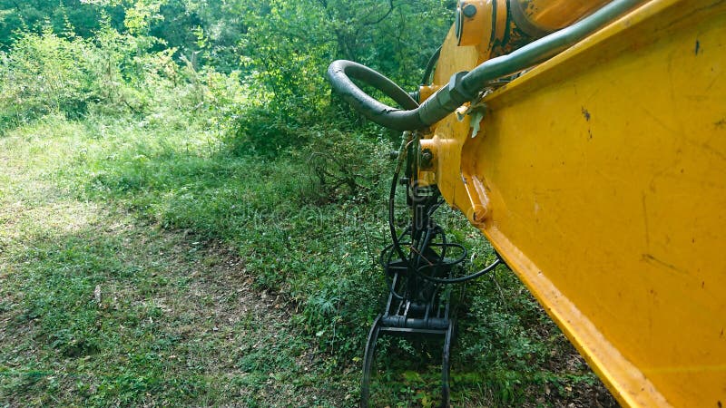 JCB Digger in Forest. Deforestation Stock Image - Image of ...