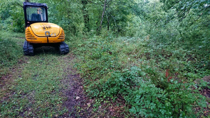 JCB Digger in Forest. Deforestation Stock Image - Image of ...