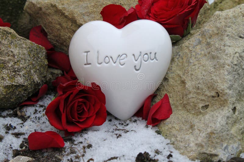 Je t'aime image stock. Image of rose, coeur, amour, vert - 16998155