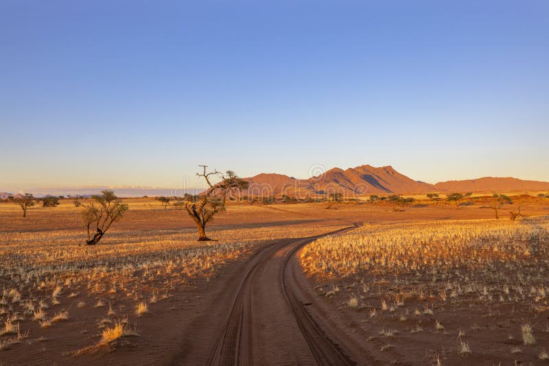 Jeep Tracks through Dry Red Sand Stock Image - Image of namib, dirt ...