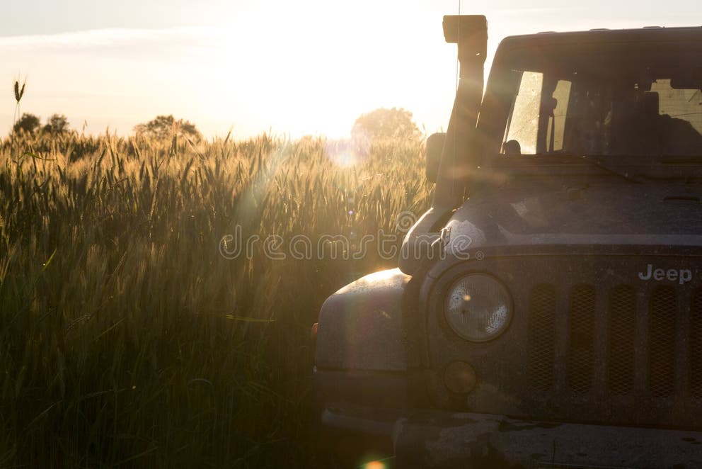 Jeep Wrangler image éditorial. Image du pré, solitude - 73244425