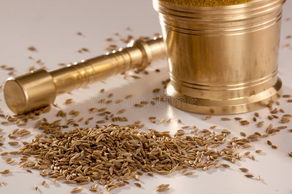 Jeera Powder. stock photo. Image of indian, jeera, india - 38458918
