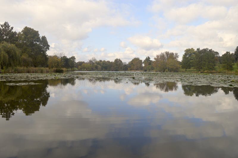 Jefferson Lake in St. Louis Stock Image - Image of nature, wetland ...