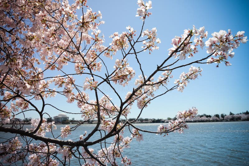 Canberra Globe stock image. Image of cook, travel, lake - 4068153