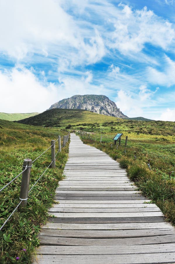 Jeju halla mountain stock photo. Image of commons, volcano - 21349550