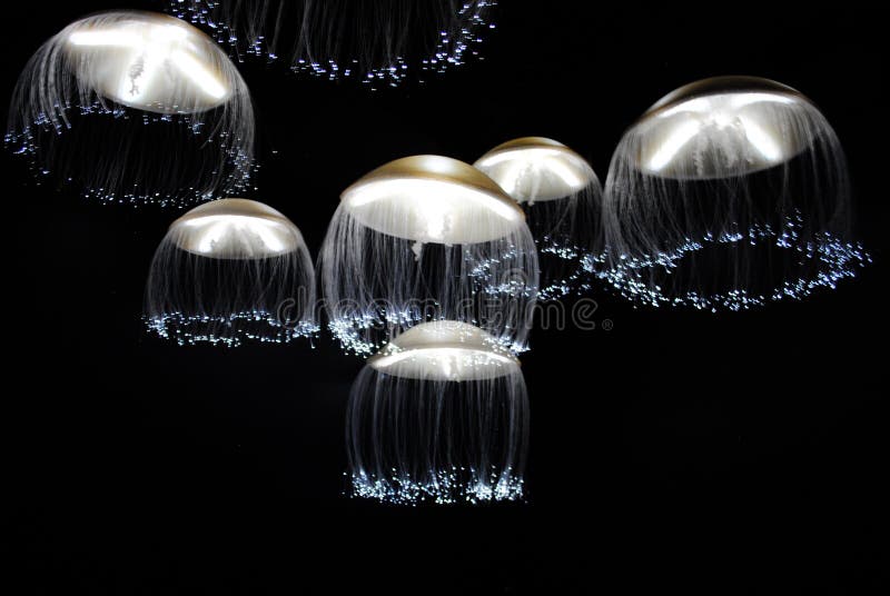 Jelly Lights stock photo. Image of fish, bottle, mermaids - 204252210