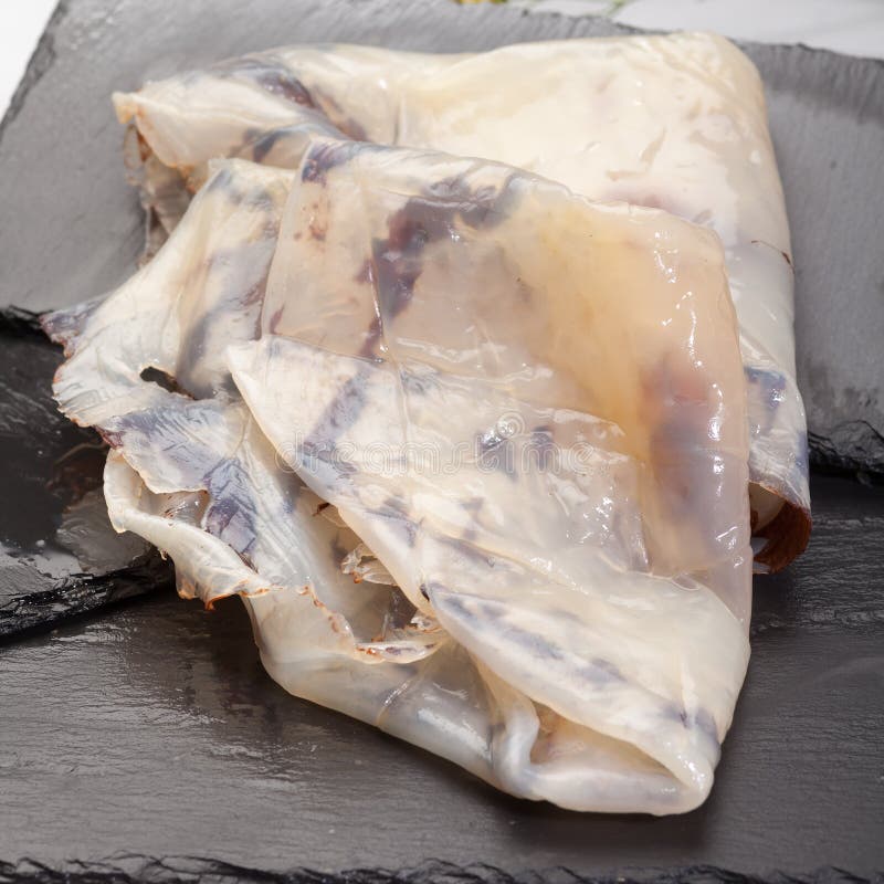 Jellyfish stock photo. Image of ocean, life, jellyfish - 74787478