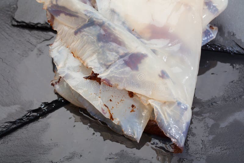 Jellyfish stock image. Image of life, fresh, chinese - 74787481