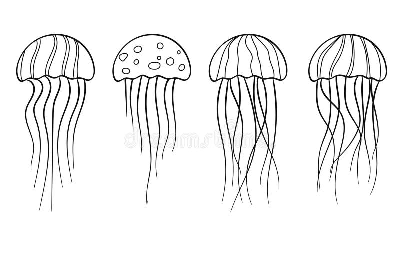 Jellyfish Line Art Hand Drawn Collection.Vector Illustration Stock ...