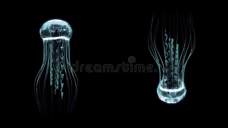 Blue Jellyfish Swimming in Deep Dark Ocean 4k Loop Stock Footage ...