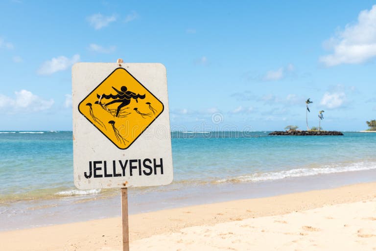 125 Warning Jellyfish Sign Stock Photos - Free & Royalty-Free Stock ...