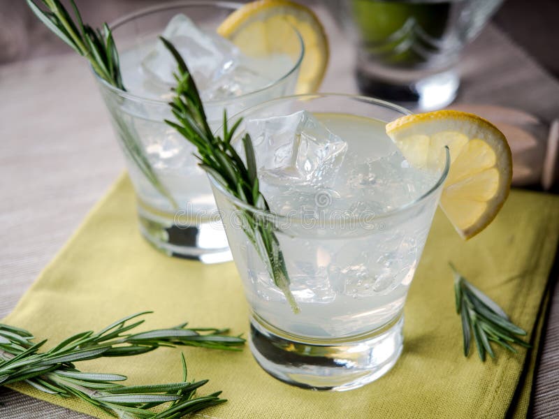 Alcoholisch Drink Jenever Tonische Cocktail Met Citroen, Rozemarijn En ...