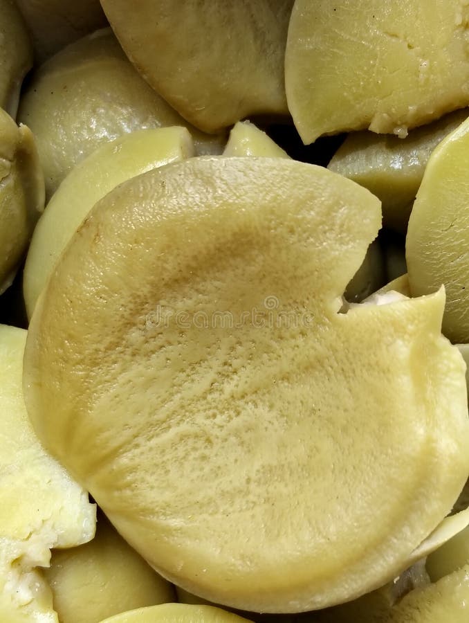 Jengkol Fruit is Delicious when Made into Rendang Stock Image - Image ...