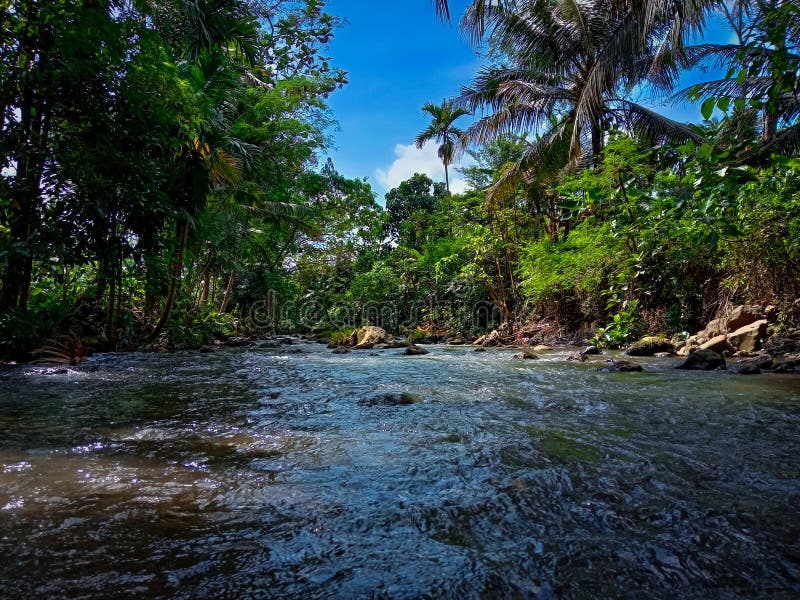 Jengok River in Purwokerto, Central Java Indonesia Stock Image - Image ...