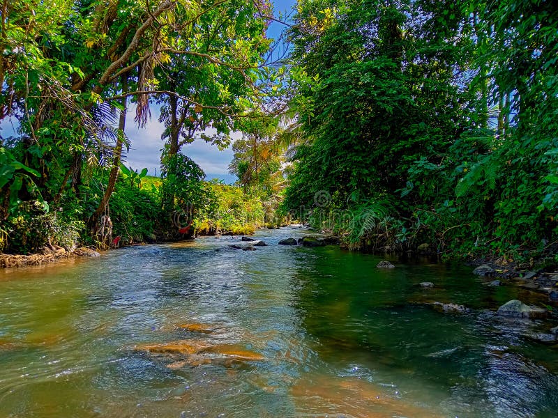 Jengok, a Small River at the Foot of Mount Slamet Stock Image - Image ...