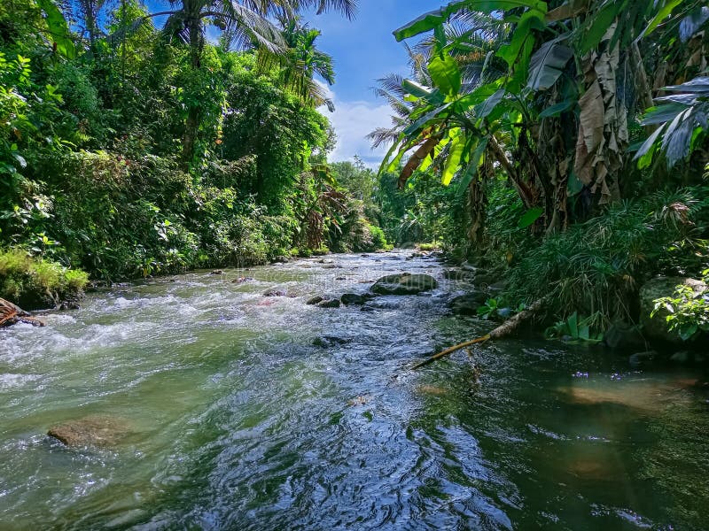 Jengok, the Small River in Purwokerto Stock Photo - Image of indonesia ...