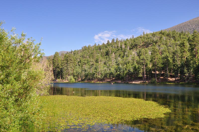 Jenks Lake stock photo. Image of boat, jenks, lake, lakes - 20795382