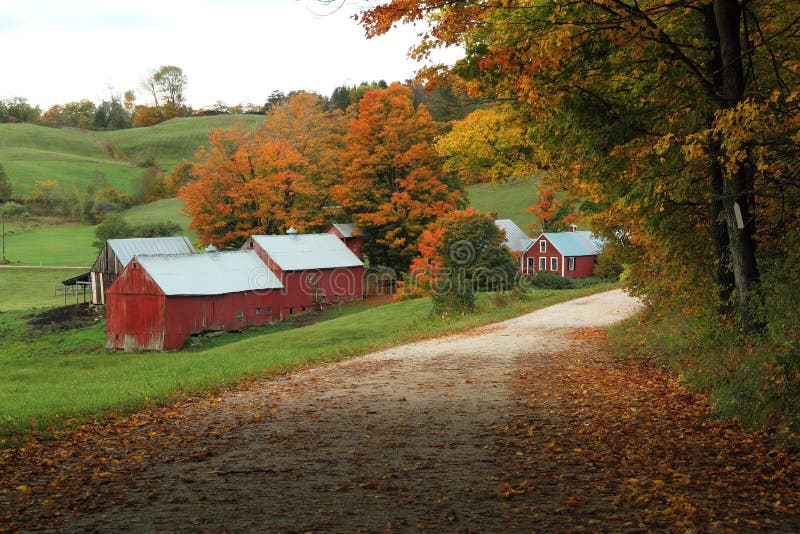 Jenny Farm stock photo. Image of pasture, plant, grassland - 64162420