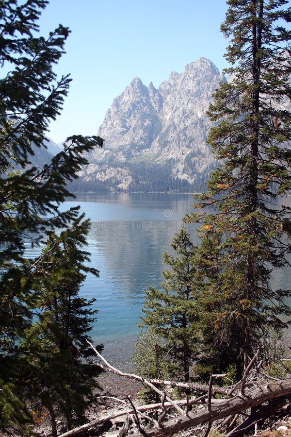 Jenny Lake, Wyoming stock image. Image of vacation, beauty - 1548193