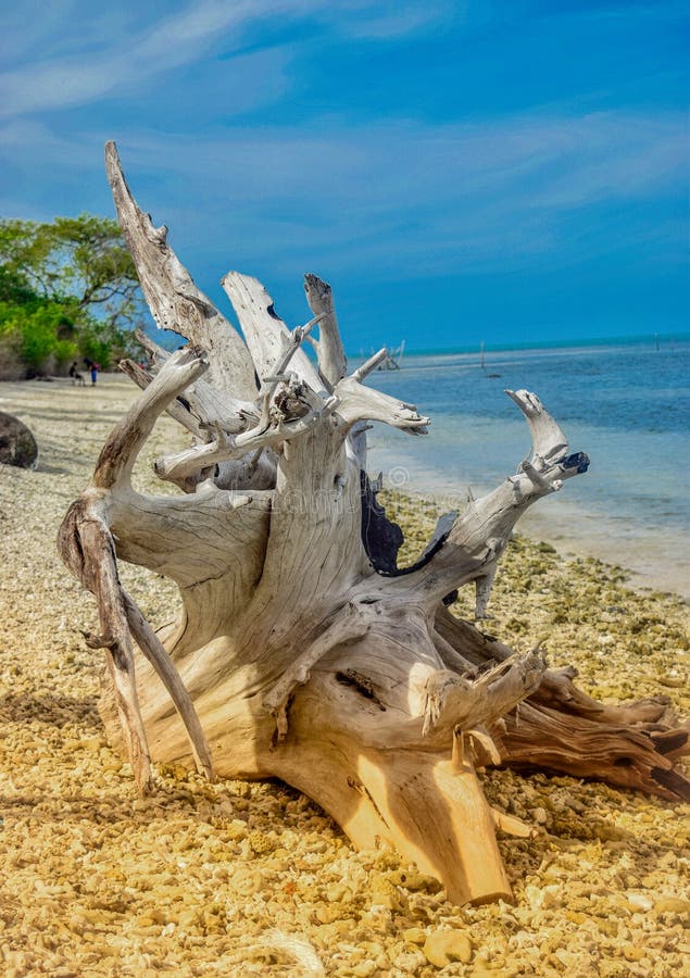 Jepara, Central Java, Indonesia. the Week of December 15, 2019. the ...