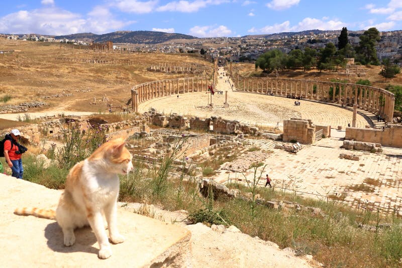 Jerash, Jordan - May 08 2024: Cat Sitting in the Streets of the Jerash ...