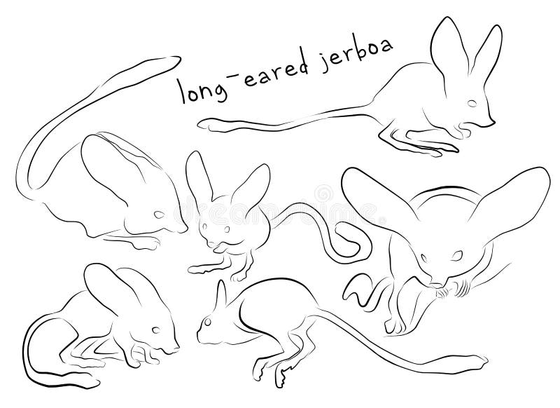 Jerboa Drawing Stock Illustrations – 190 Jerboa Drawing Stock ...