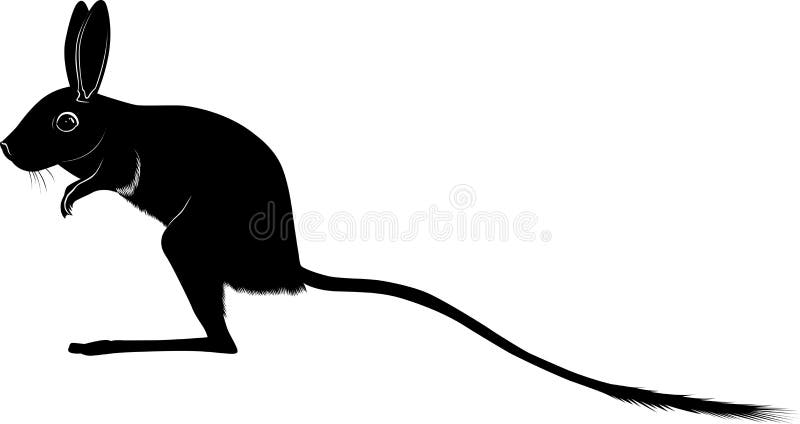 Jerboa Drawing Stock Illustrations – 190 Jerboa Drawing Stock ...
