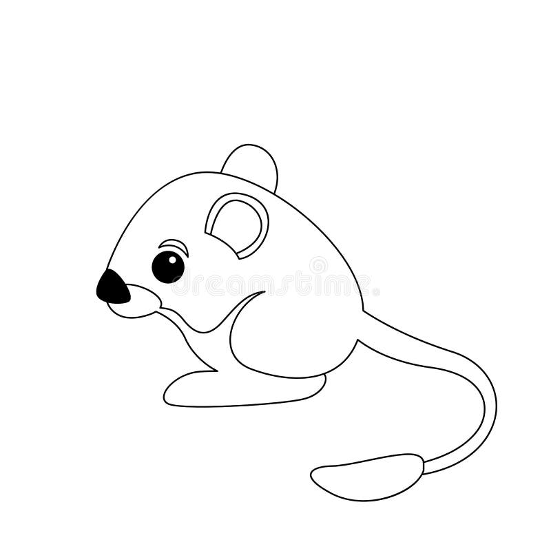 Jerboa Drawing Stock Illustrations – 254 Jerboa Drawing Stock ...