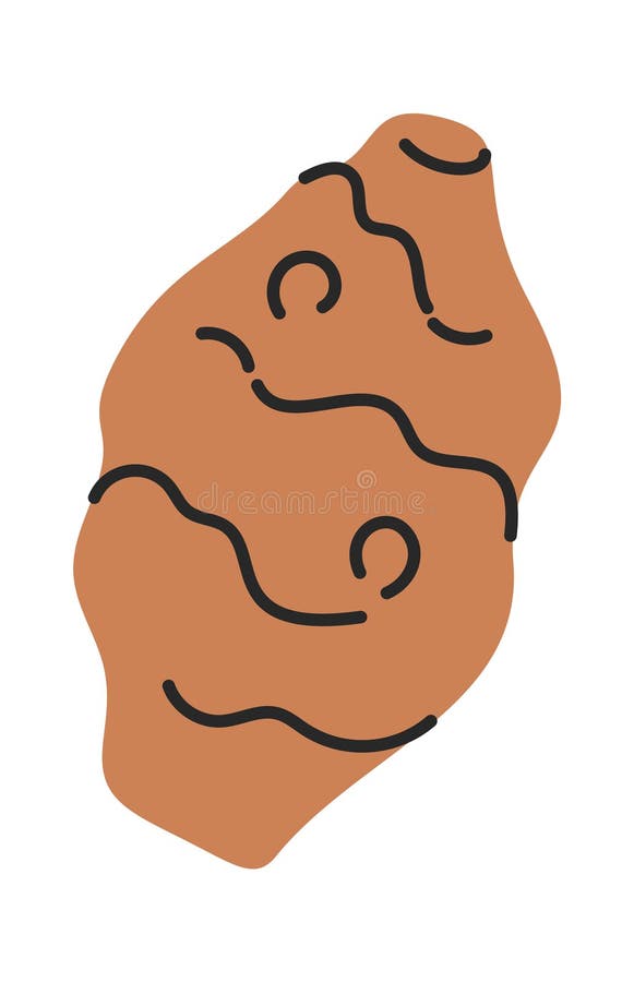 Jerusalem Artichoke Hand Drawn Vegetable Stock Vector - Illustration of ...