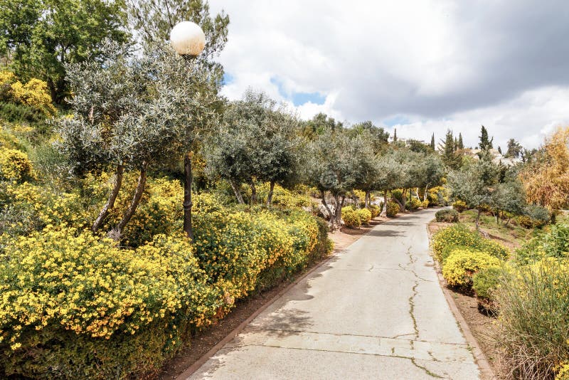 Jerusalem Haas-Sherover Promenade in the Spring Stock Photo - Image of ...