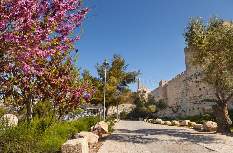 Jerusalem stock image. Image of trees, israel, street - 40595275
