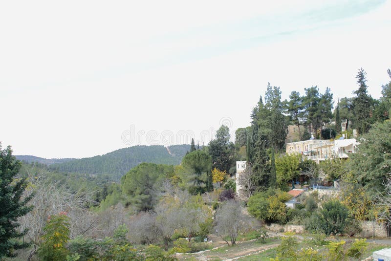 Jerusalem Valley Beautiful Landscape with Tree. Stock Image - Image of ...