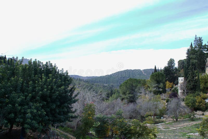 Jerusalem Valley Beautiful Landscape with Tree. Stock Photo - Image of ...