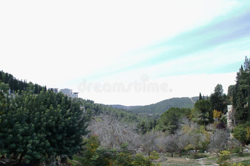 Jerusalem Valley Beautiful Landscape with Tree. Stock Image - Image of ...
