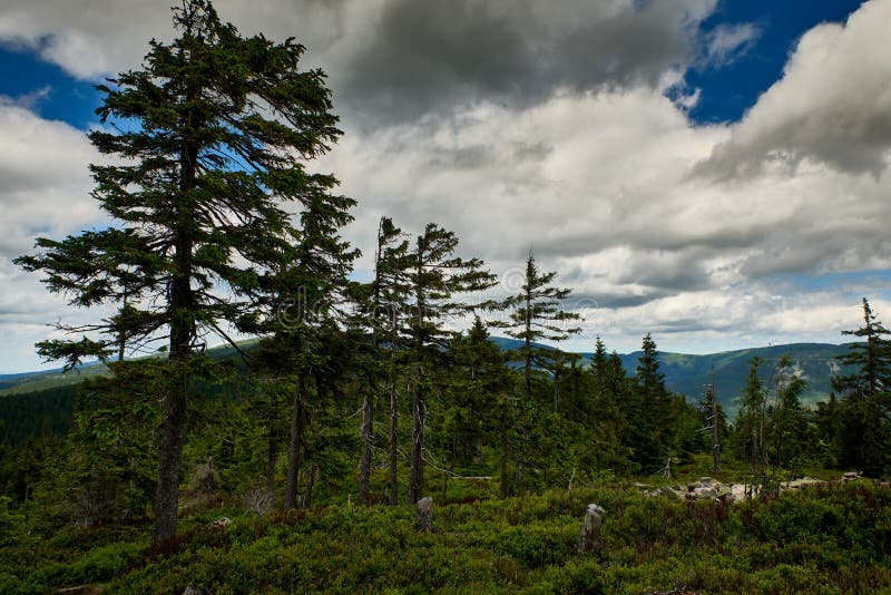 Jeseniky Mountains in Czech Republic Stock Image - Image of czech ...