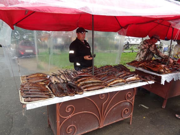 Jesiotr ryba fotografia editorial. Obraz złożonej z grill - 43089797