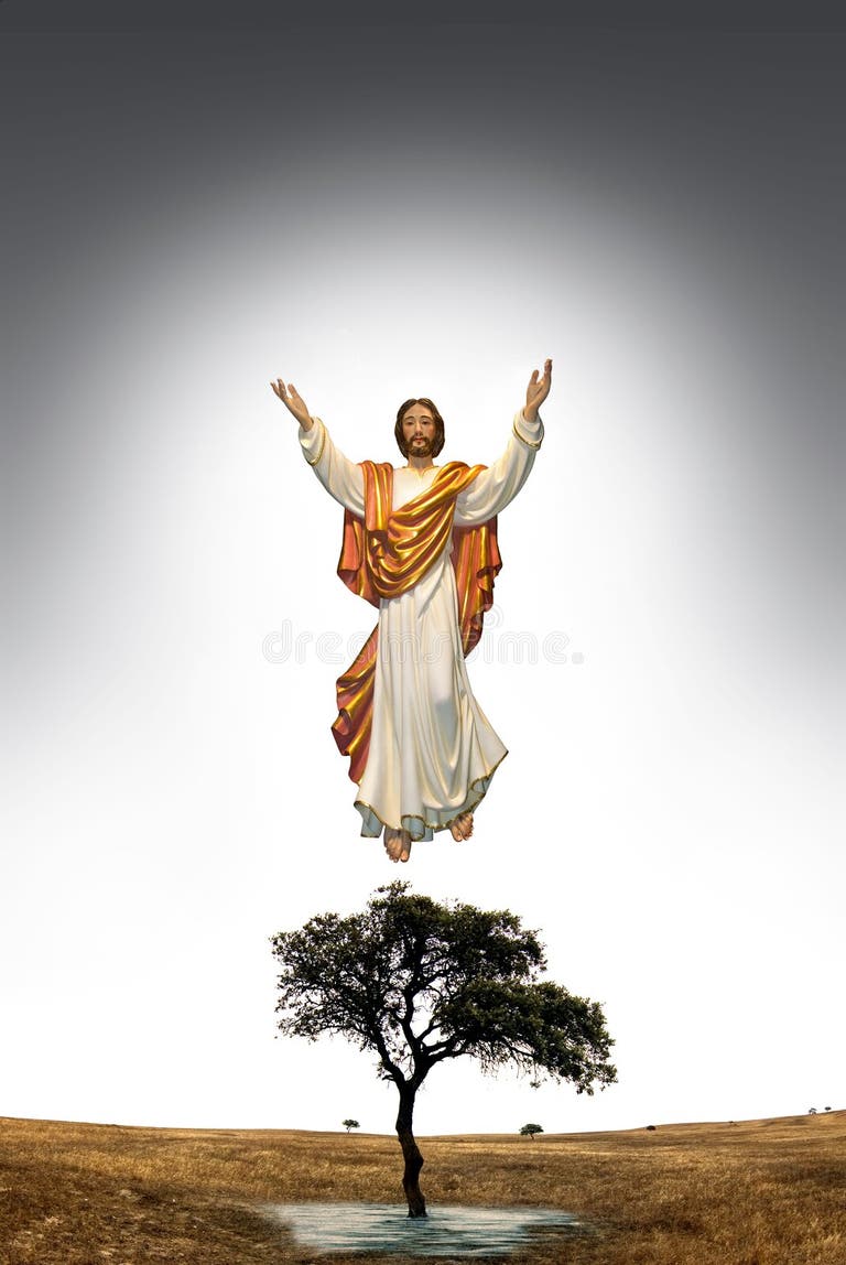 Grace Jesus Stock Illustrations – 3,243 Grace Jesus Stock Illustrations ...