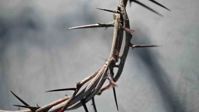 Jesus Crown of Thorns Casting a Distinct Shadow on a for Christian ...