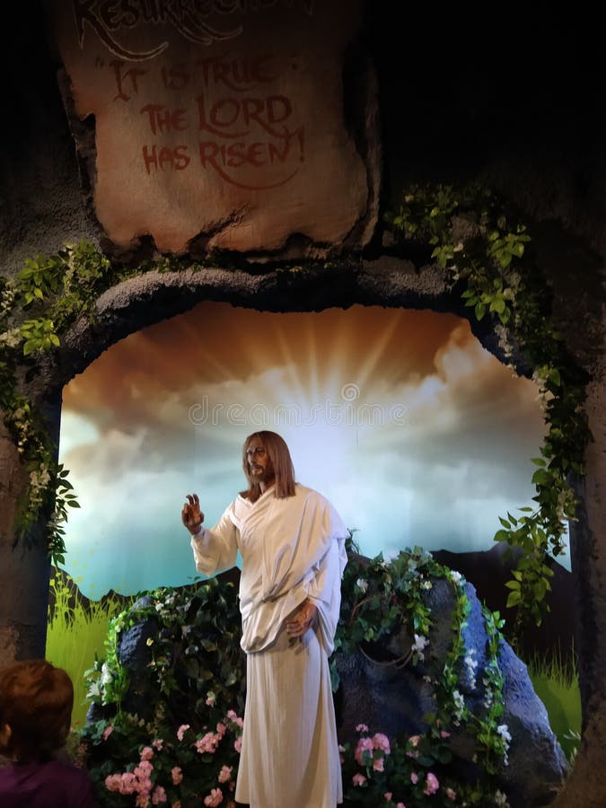 Jesus has risen stock photo. Image of tree, forest, autumn - 220493818